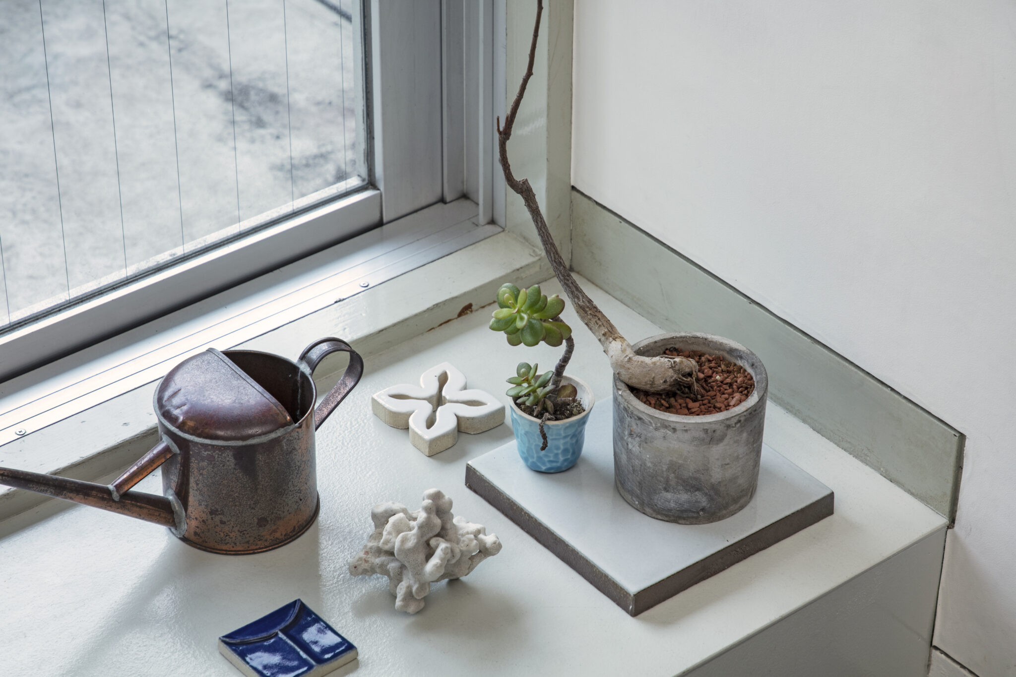 TILE KIOSK – Tiles tiles tiles! Shop for single tiles made in Tajimi ...